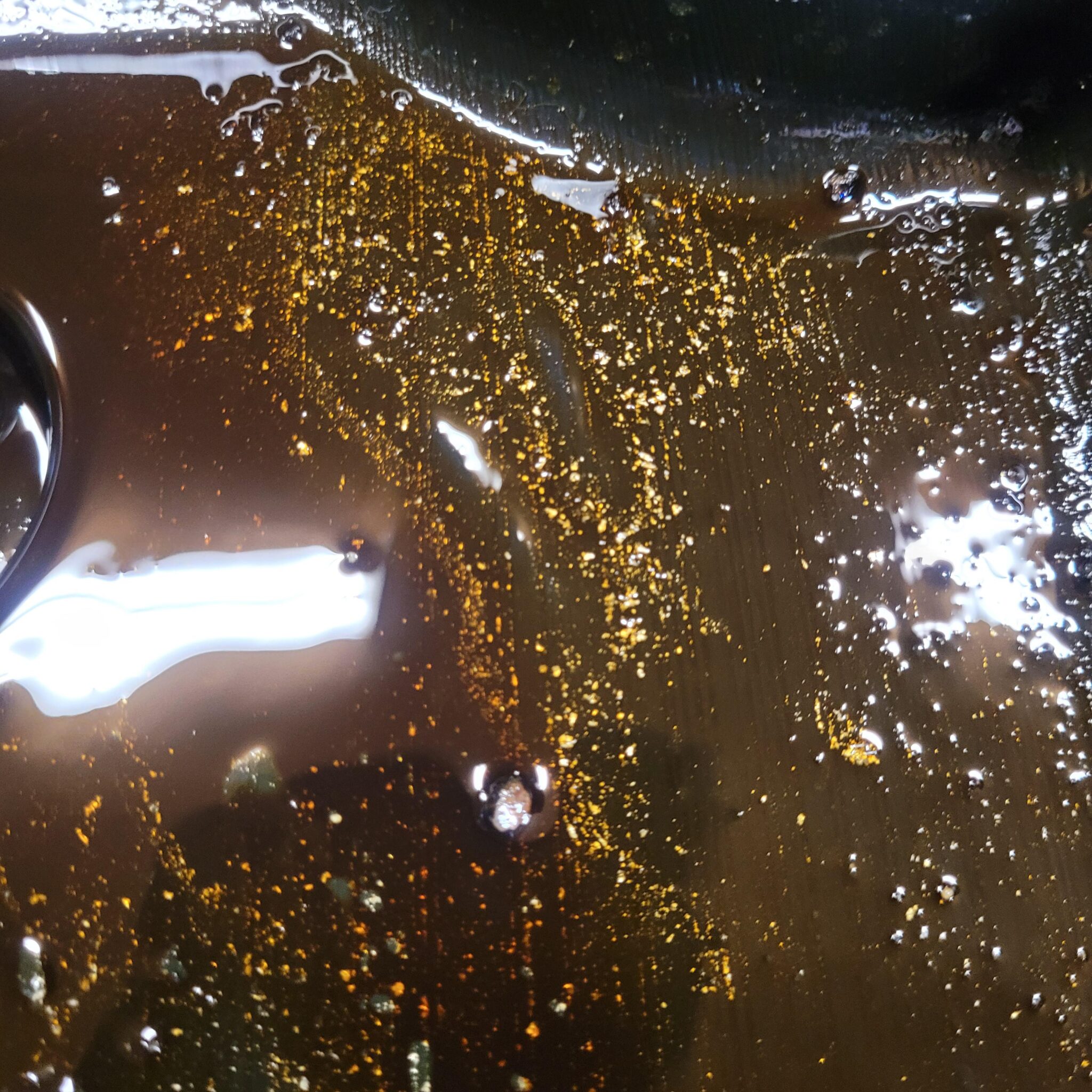 Engine Damaged From No Oil? 8 Signs to Check